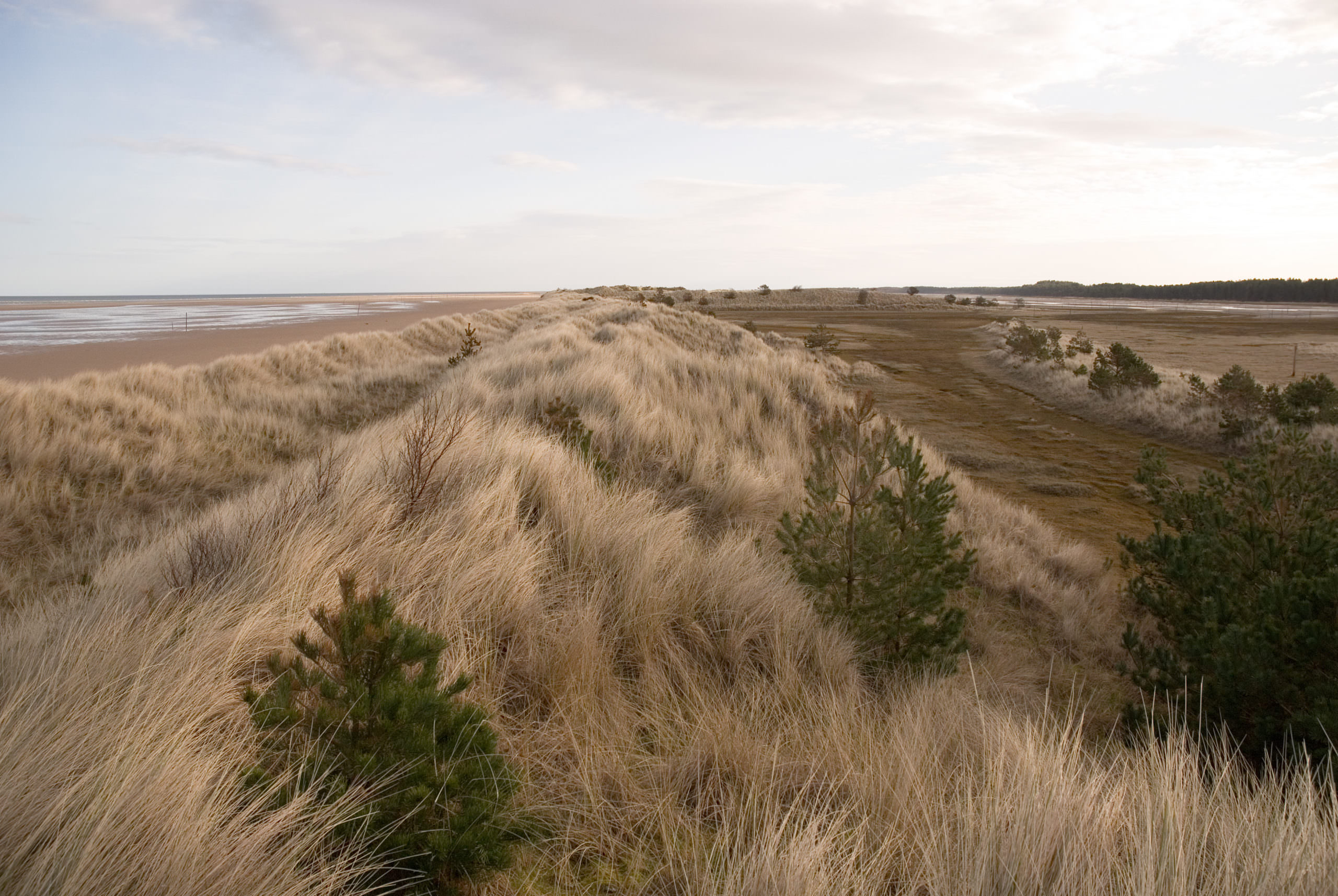 RSPB Culbin Sands Nature Reserve Project
